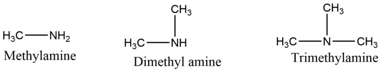 Amines- Definition, Structure, Preparation, Properties, Uses