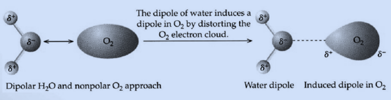 Intermolecular Forces- Definition and Types
