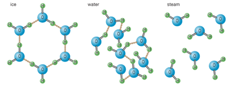 Amazing Properties of Water