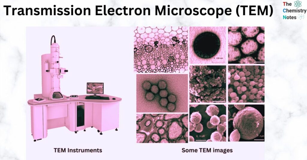 Transmission Electron Microscope (TEM): Principle, Instrumentation, Uses