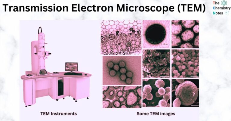 Transmission Electron Microscope (TEM): Principle, Instrumentation, Uses