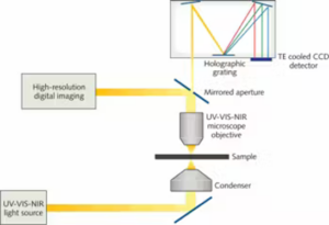 Microspectrophotometer: Working, Components, Advantages, Application