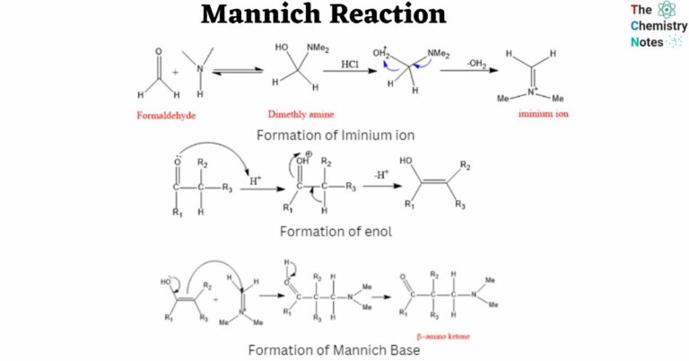 Mannich Reaction: Definition, Mechanism, Application