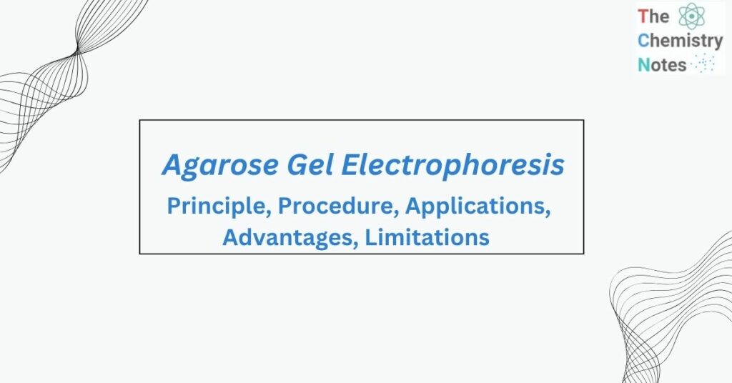 Agarose Gel Electrophoresis: Applications, Limitations