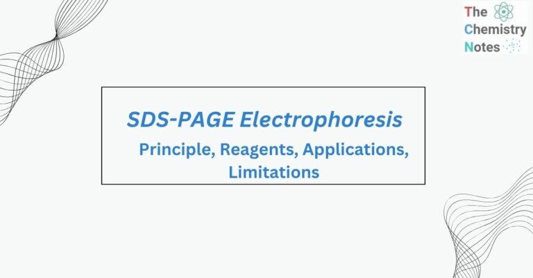 SDS-PAGE Electrophoresis: Principle, Application, Limitation