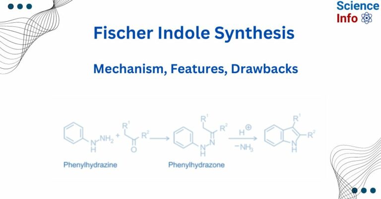 Fischer Indole Synthesis: Mechanism, Features, Drawbacks