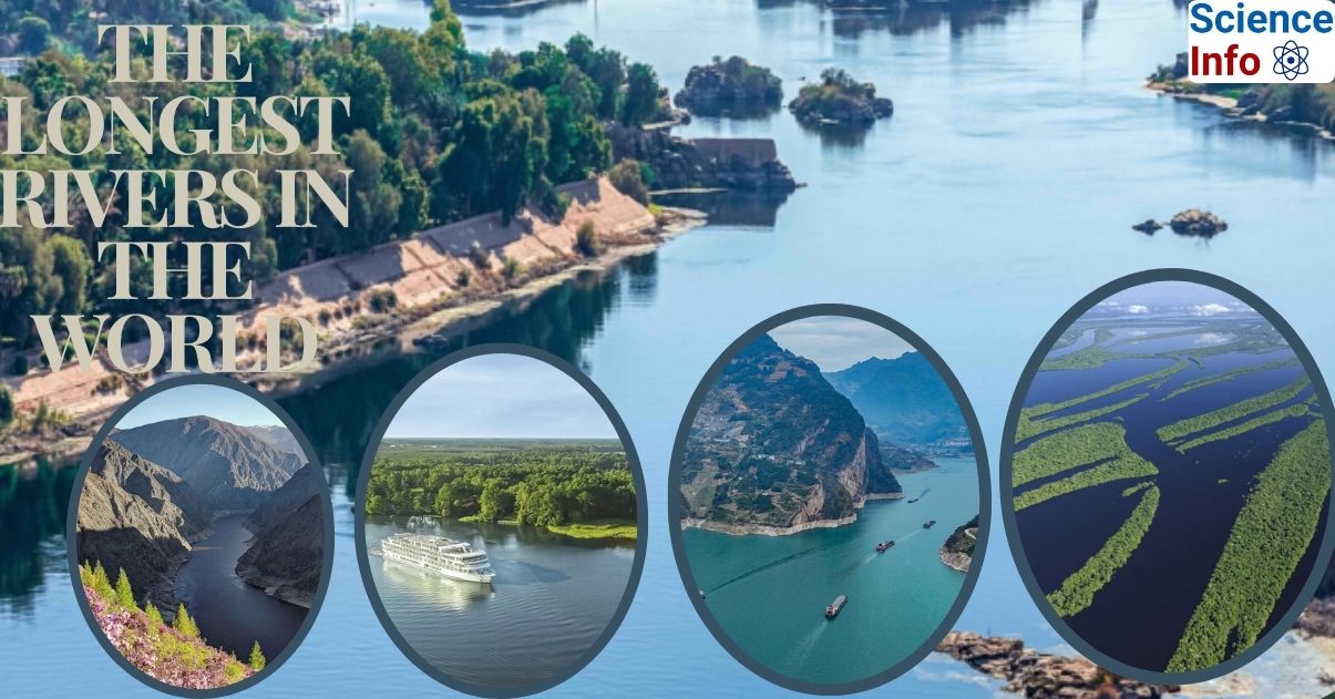 Top 10 Longest Rivers in The World