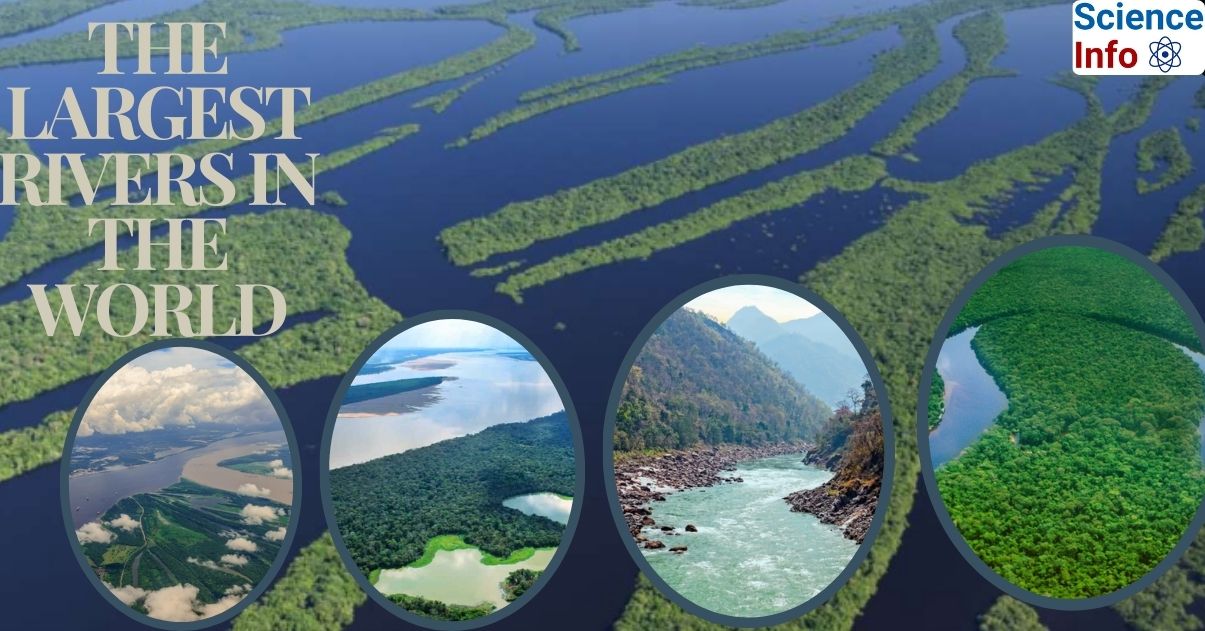 Top 10 Largest Rivers in The World